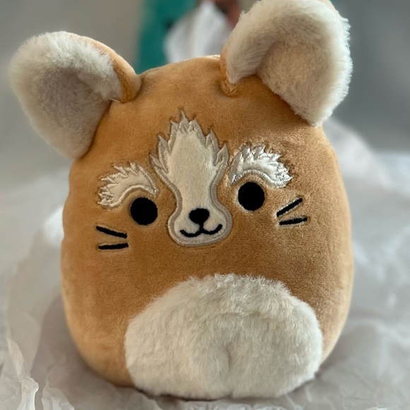 Squishmallows | Toys | Squishmallows Katta 5 Fox Desert Squad New In ...